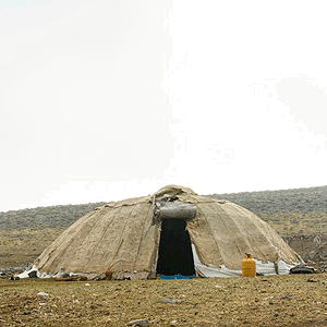 Shaking Tent