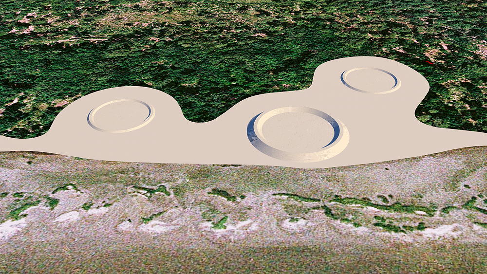 Sapelo Shell Ring Complex