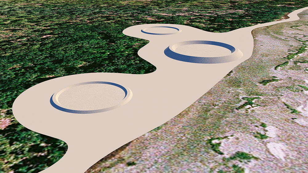 Sapelo Shell Ring Complex