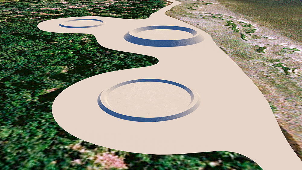 Sapelo Shell Ring Complex